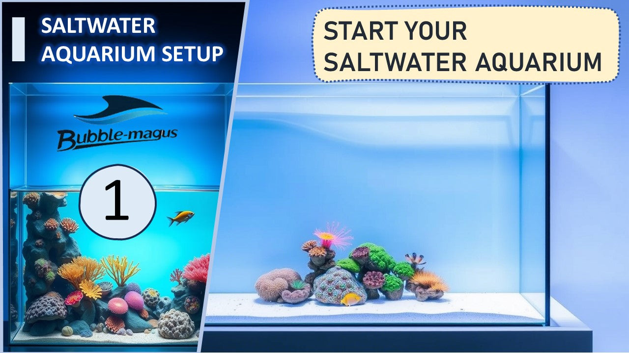 Ready to Start Your Saltwater Aquarium? Here’s How to Make It Easy and ...