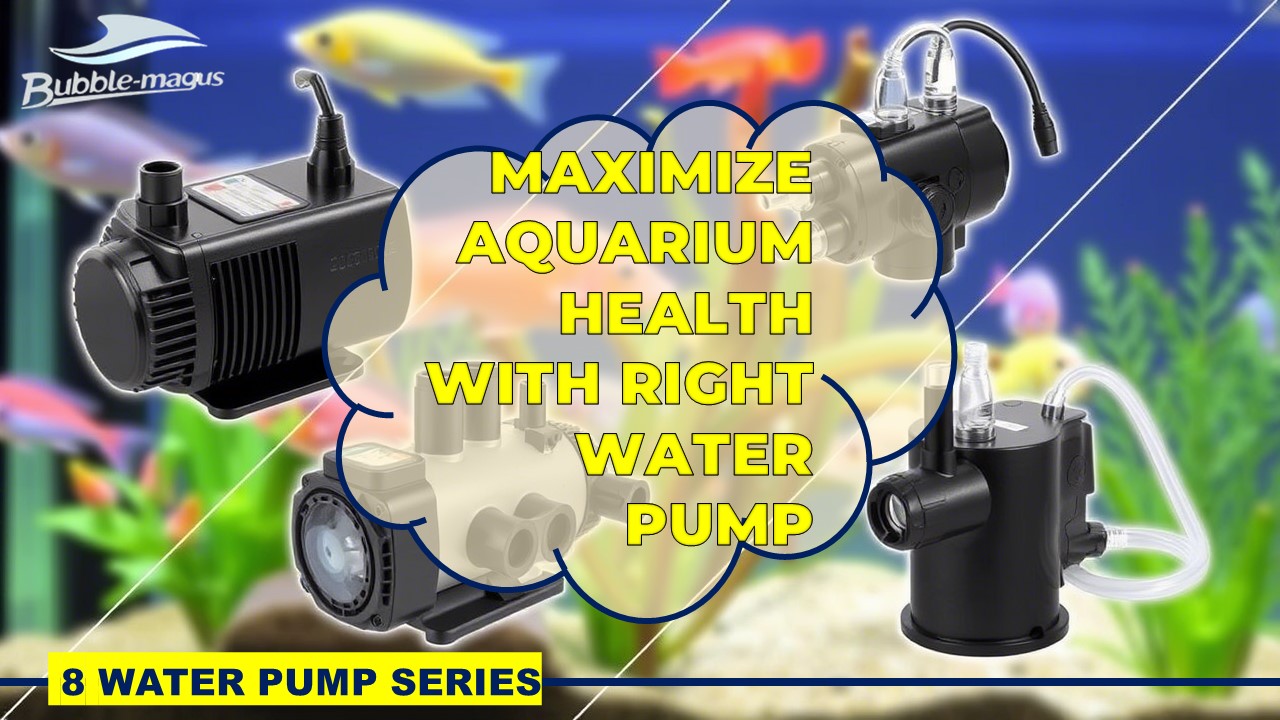 Power Up Your Paradise: The Essential Guide to Aquarium Water Pumps - – BUBBLE-MAGUS