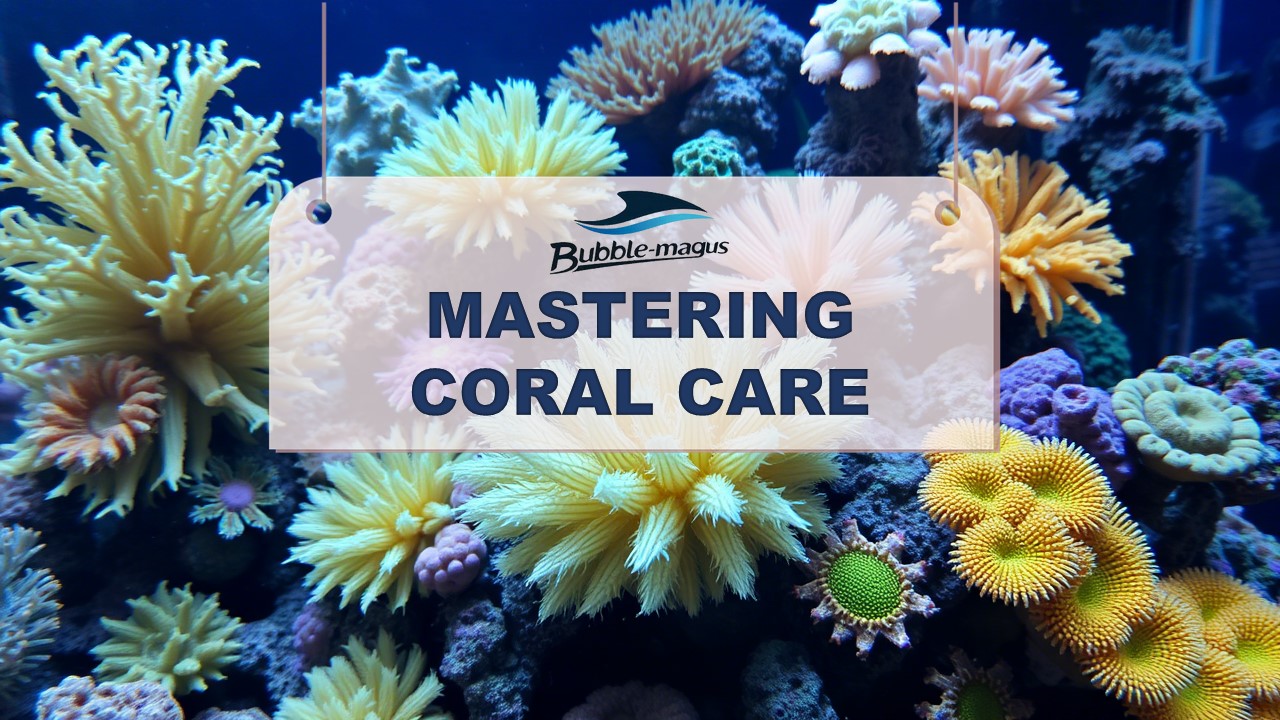 Mastering Coral Care: How to Solve the 4 Biggest Coral Health Issues E ...