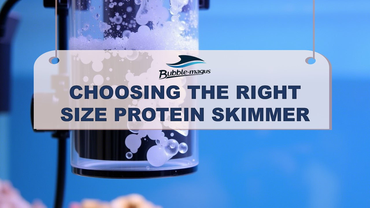 How to Choose the Right Size Protein Skimmer for Your Saltwater Tank ...