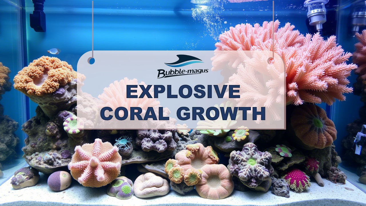 Unlock Explosive Coral Growth: The Super Simple Guide to Calcium & Alk ...