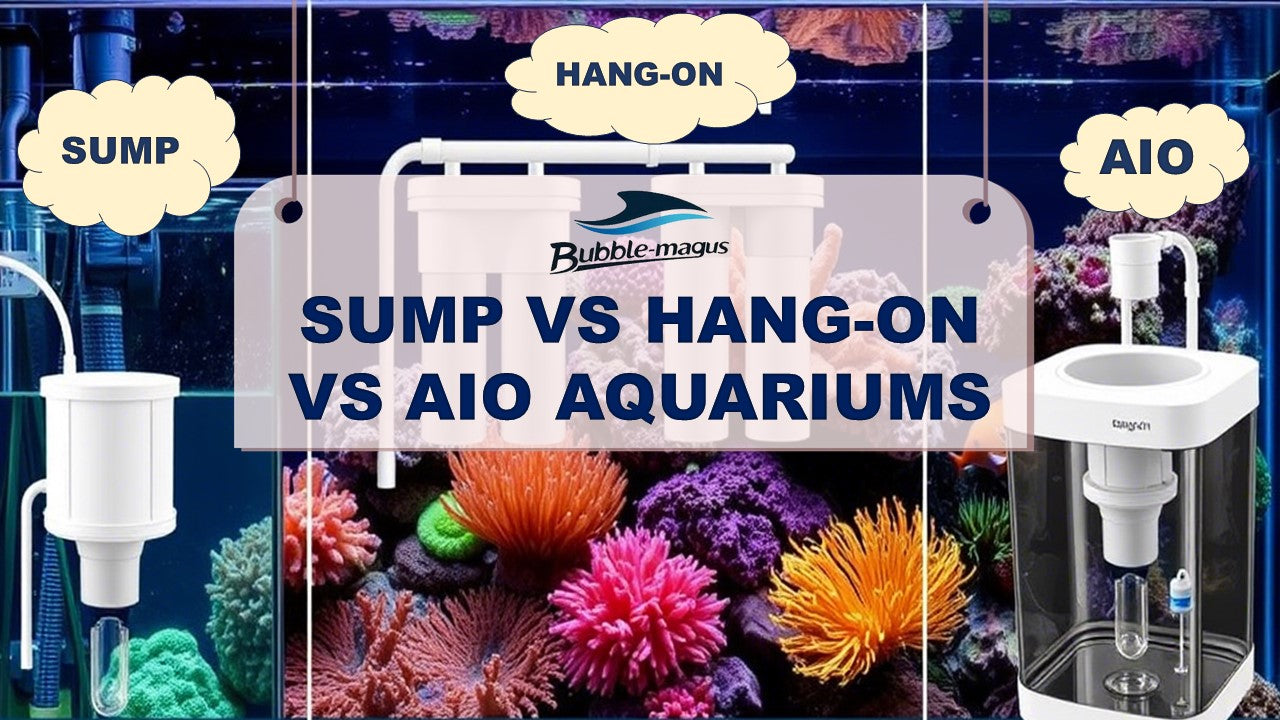 Sump vs. Hang-On vs. AIO Aquariums: Decoding the Filtration Face-Off ...
