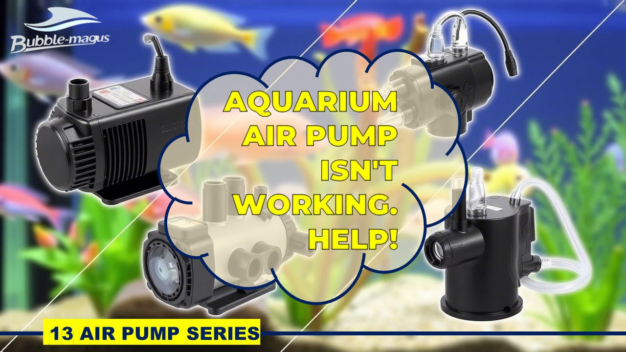 My Aquarium Air Pump Isn't Working! Troubleshooting Common Issues and ...