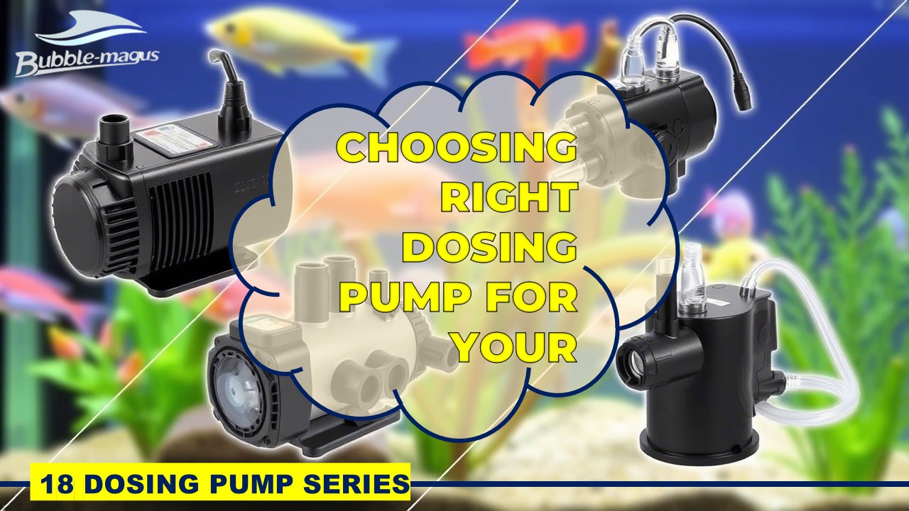Choosing the Right Dosing Pump for Your Reef Tank: A Comprehensive Gui ...
