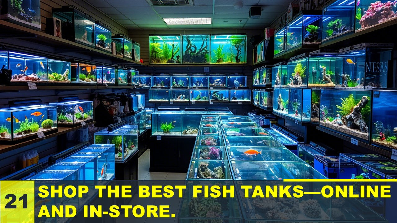 Navigating the Waters: Your Ultimate Guide to Finding Fish Tanks & Aqu ...