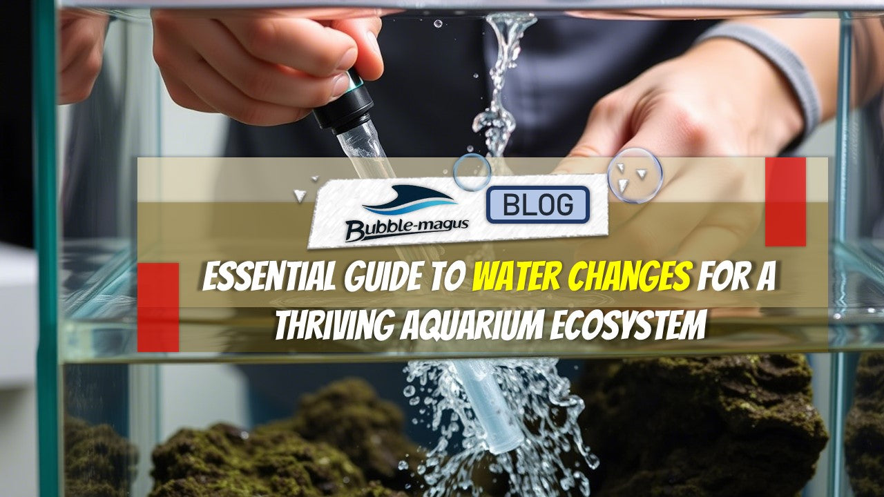 Weekly Water Wonders: The Essential Guide to Water Changes for a Thriv ...