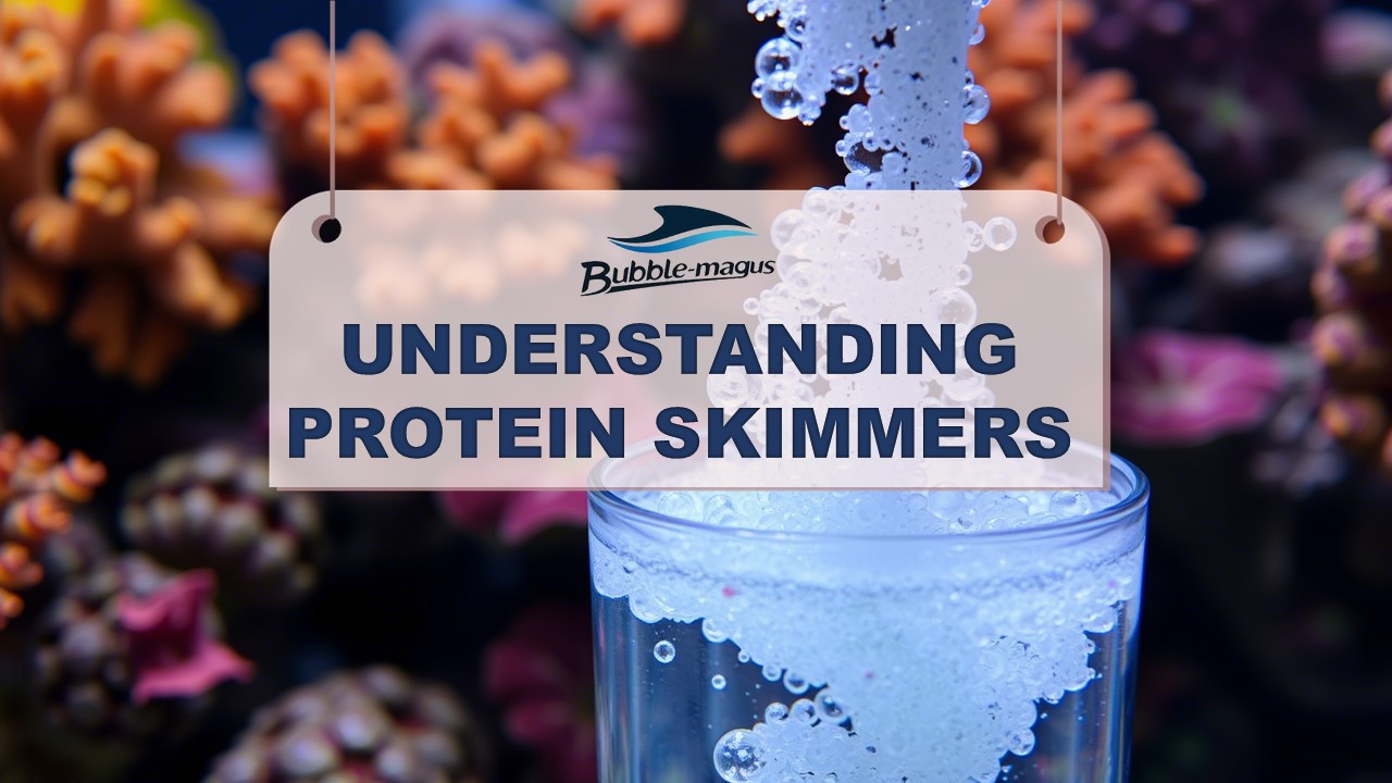 Understanding Protein Skimmers: What They Do and How to Choose the Rig ...