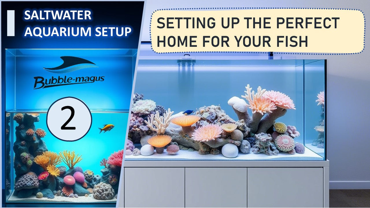 Setting Up the Perfect Home for Your Fish: A Simple Guide to Tank Desi ...