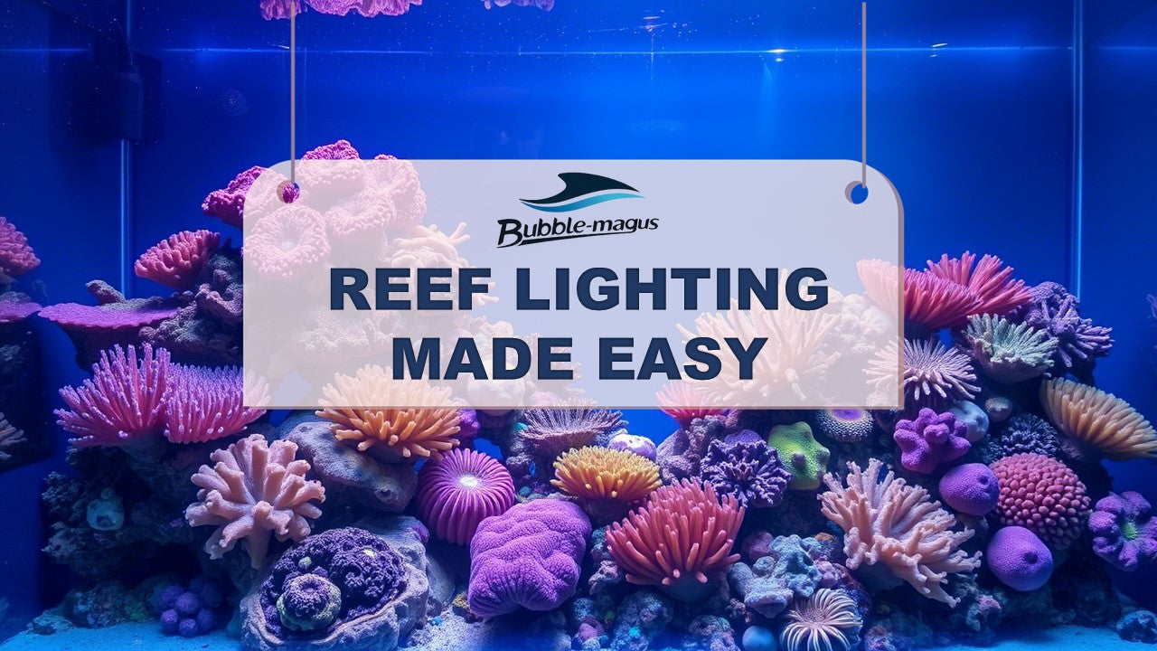 Reef Lighting Made Easy: How to Get the Perfect Illumination for Your ...