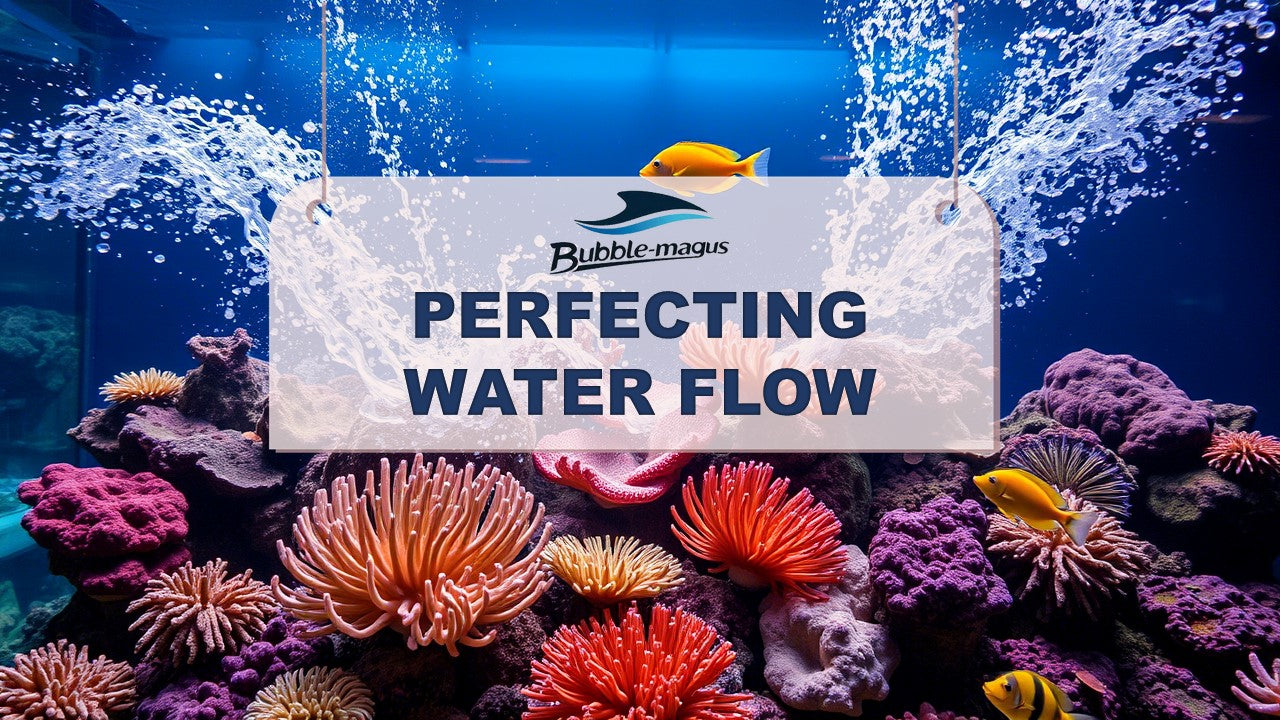 Perfecting Water Flow in Your Reef Tank: Expert Tips for Choosing Powe ...