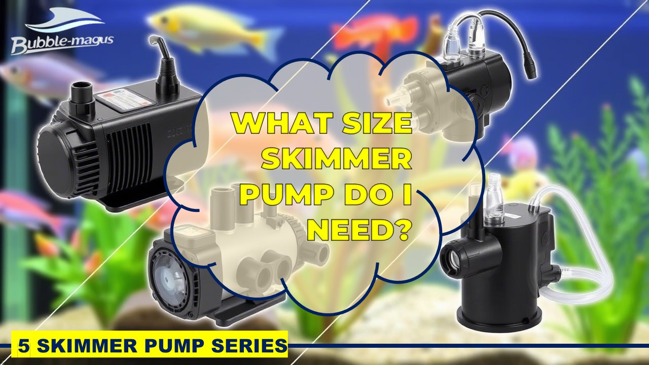 What Size Skimmer Pump Do I Need? A Detailed Guide to Matching Your Aq ...