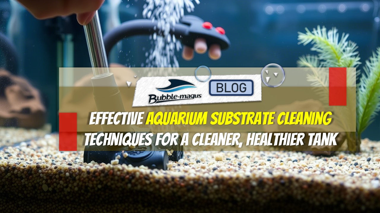 Decoding the Detritus: Effective Aquarium Substrate Cleaning Technique ...
