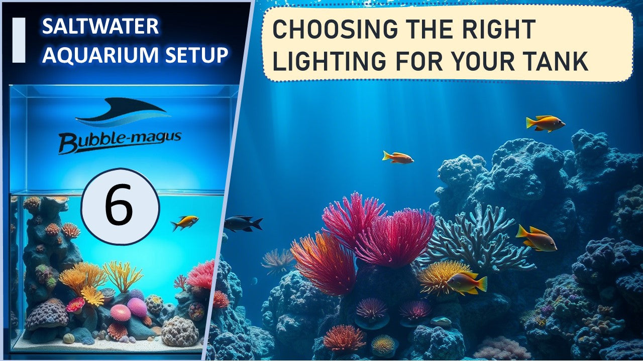 Choosing the Right Lighting for Your Tank: How to Make Your Fish and C ...