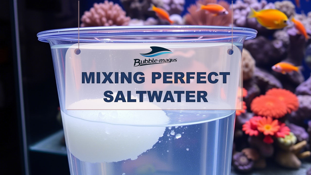 Step-by-Step Guide to Mixing Perfect Saltwater for Your Reef Aquarium ...